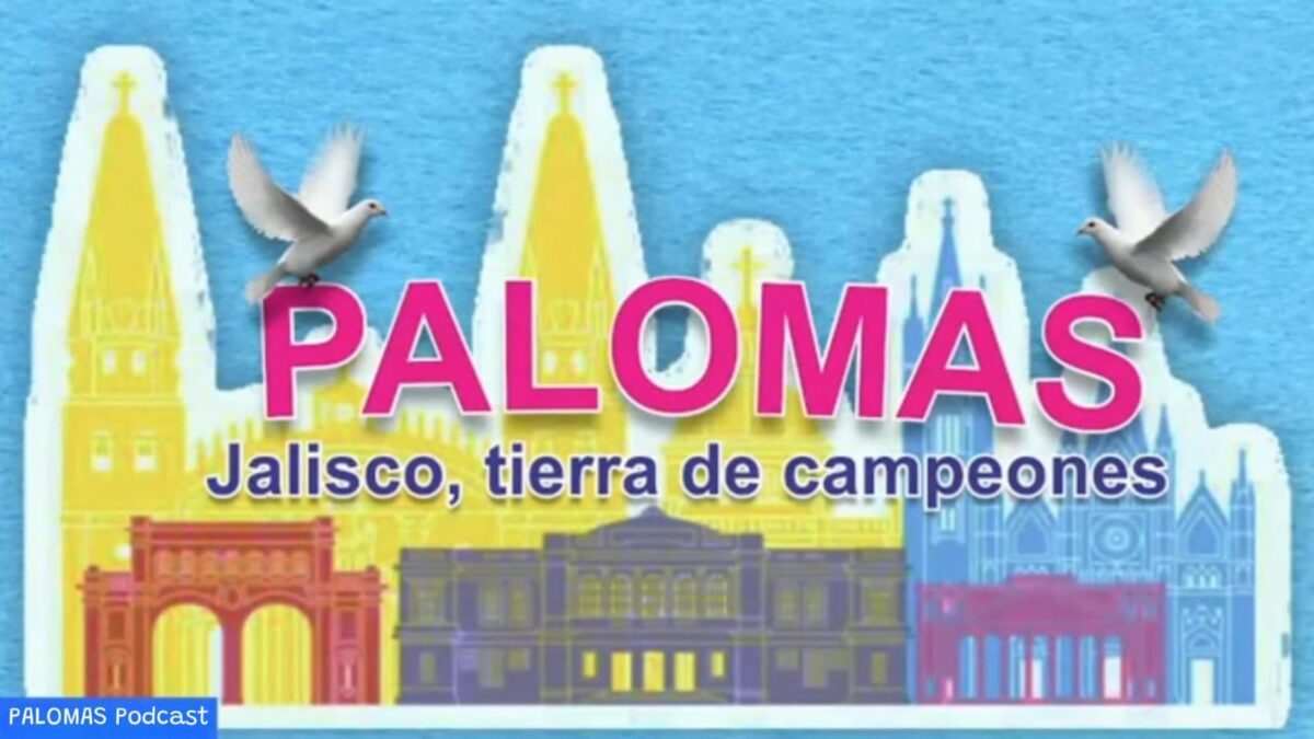 Palomas mensajeras entrenadas - JADE-MK Servicios